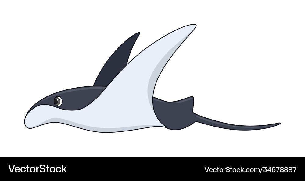 Manta ray fish on a white background Royalty Free Vector