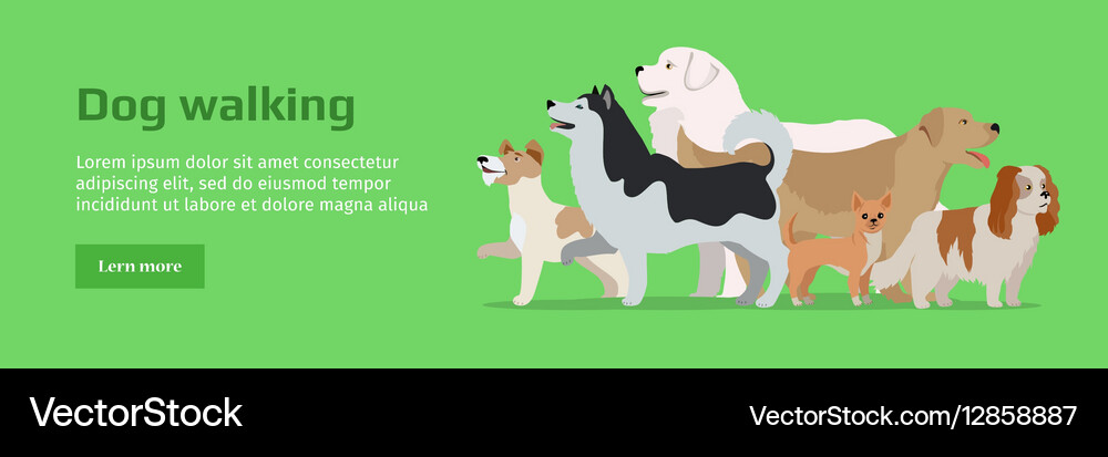 Professional dog walking service banner Royalty Free Vector
