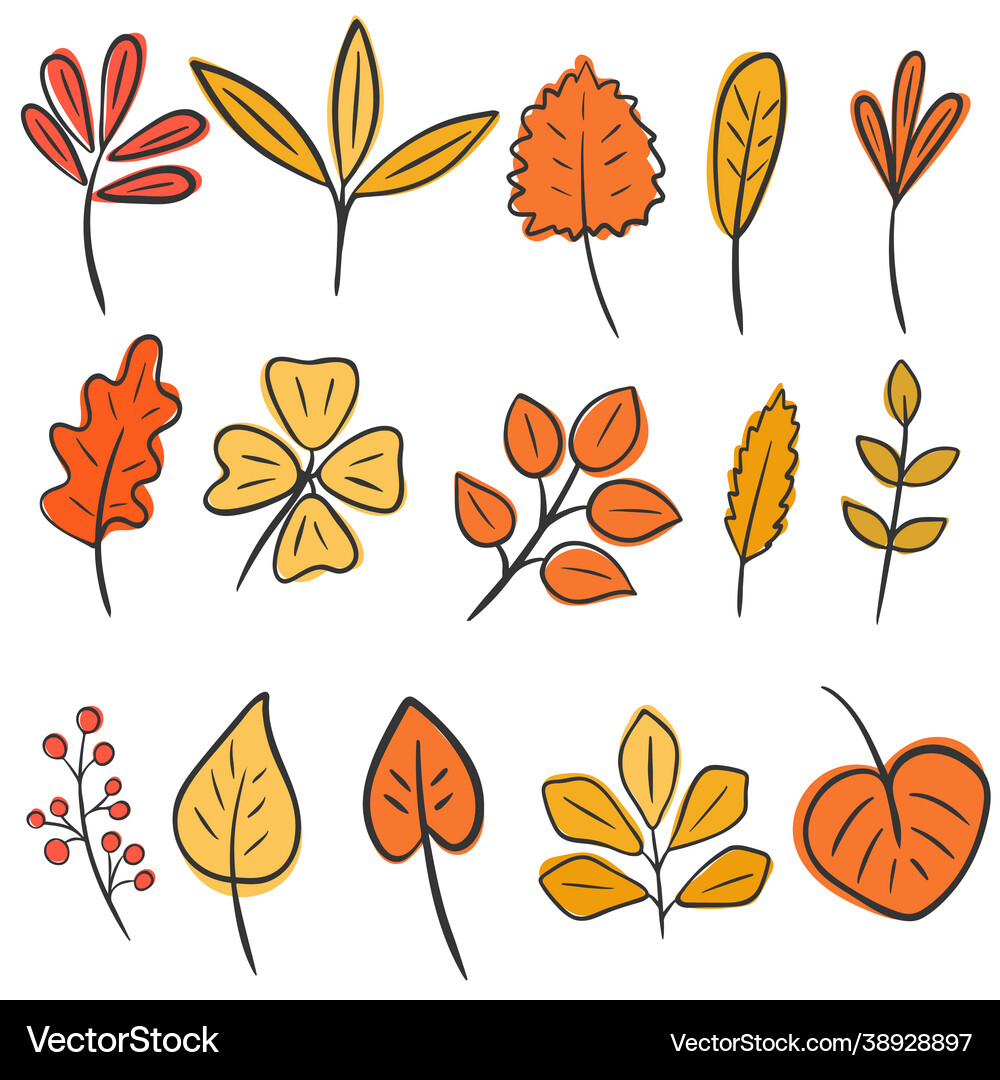 Set autumn leaves hand drawing Royalty Free Vector Image