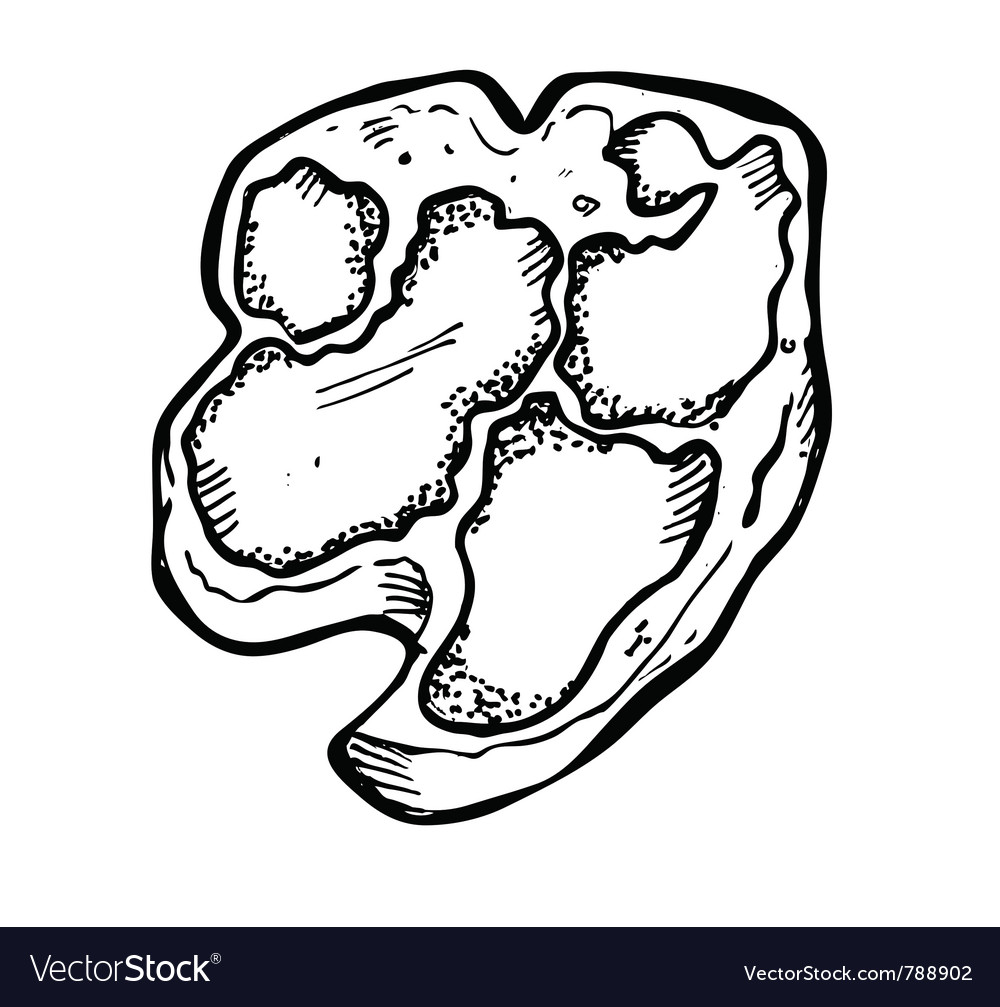 Raw meat Royalty Free Vector Image - VectorStock