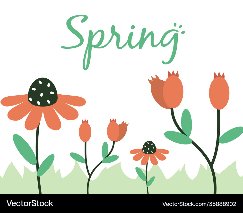 Spring design with beautiful flowers and grass Vector Image