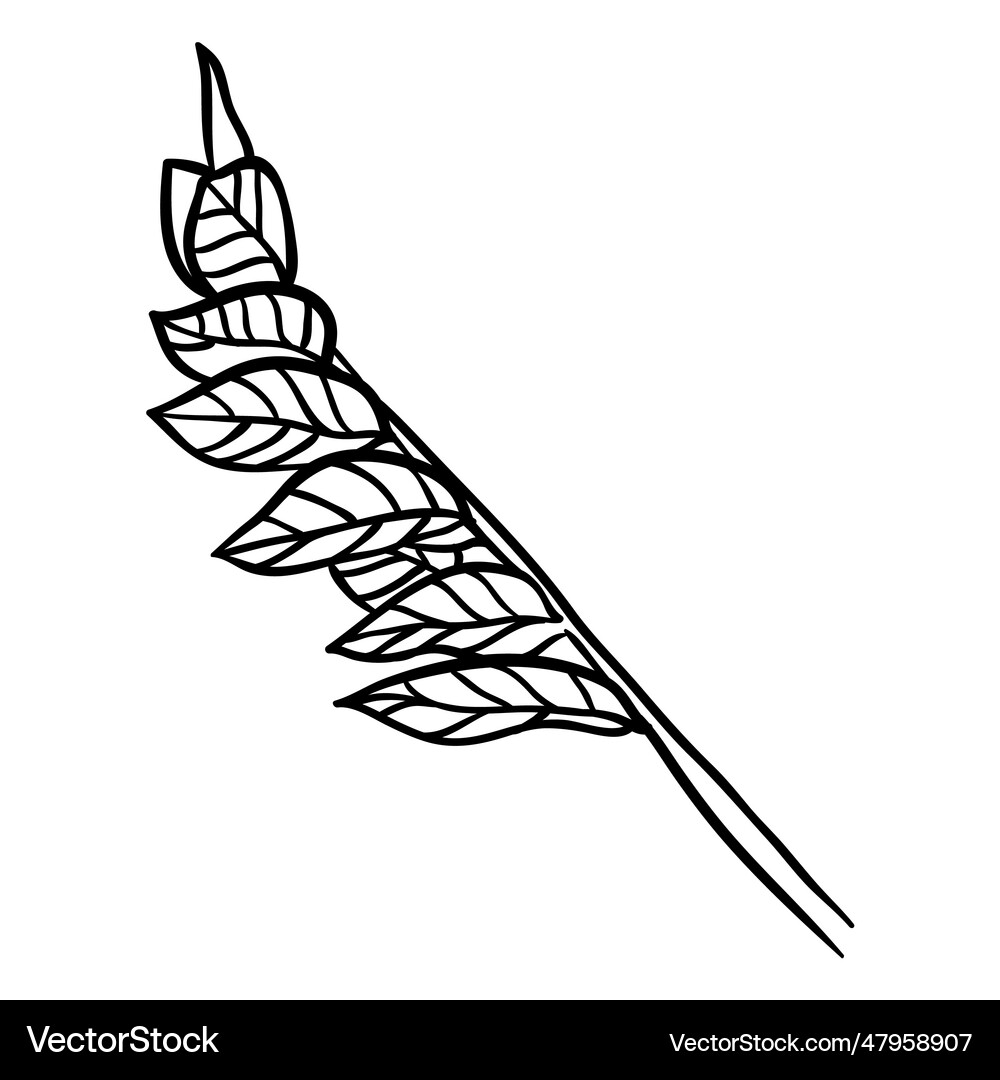 Branch with leaves stroke Royalty Free Vector Image