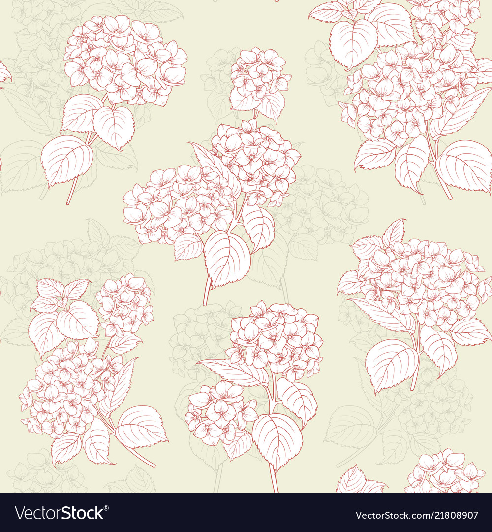 Flower pattern hydrangea flowers Royalty Free Vector Image
