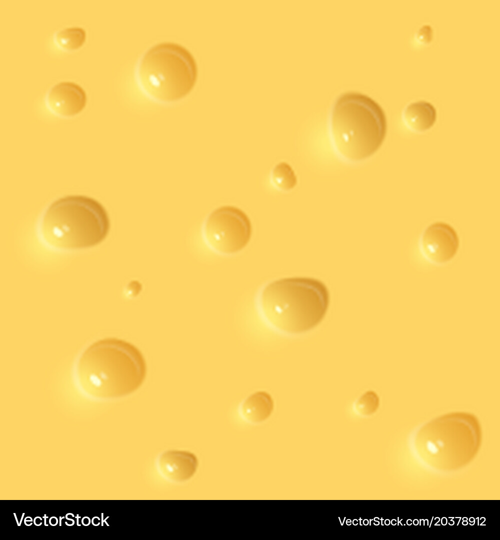 Texture of the cheese background Royalty Free Vector Image