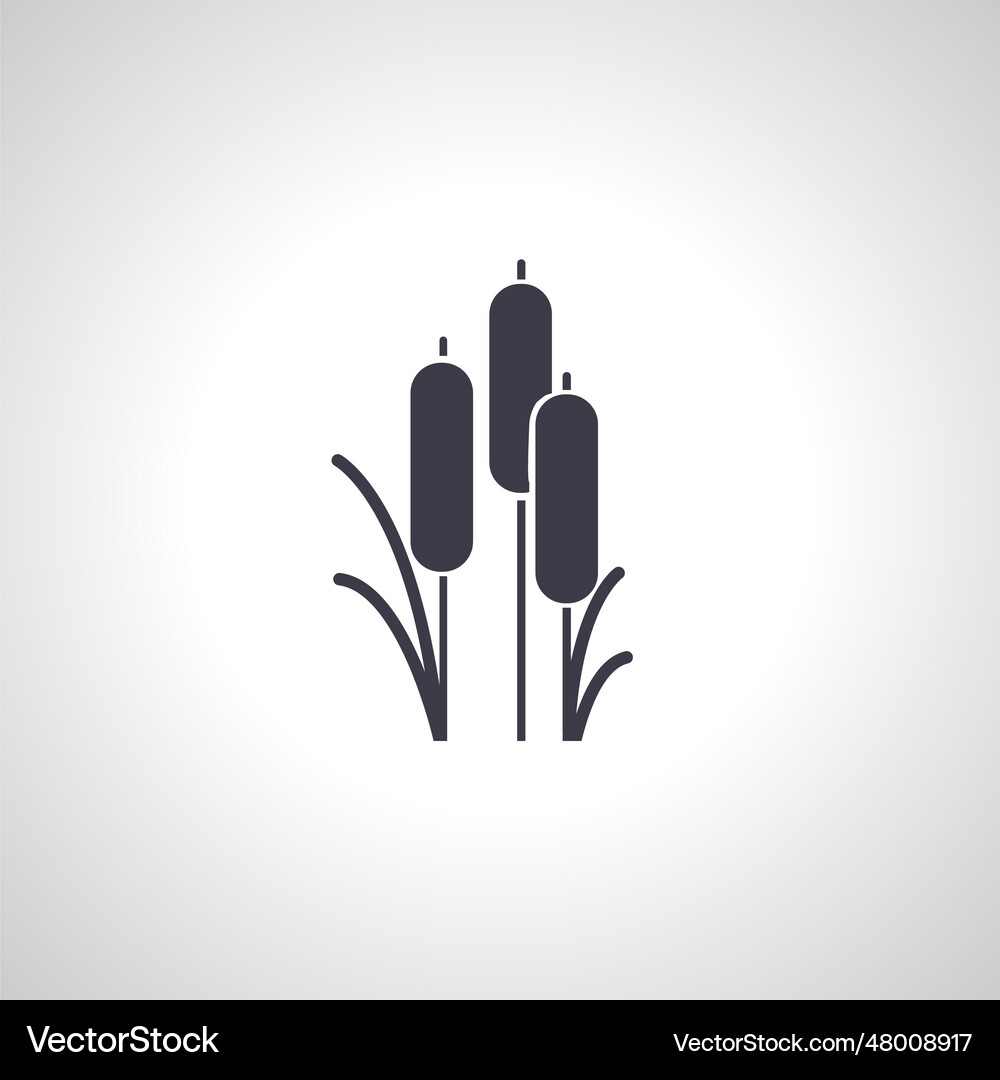 Reeds plant icon reed isolated icon Royalty Free Vector