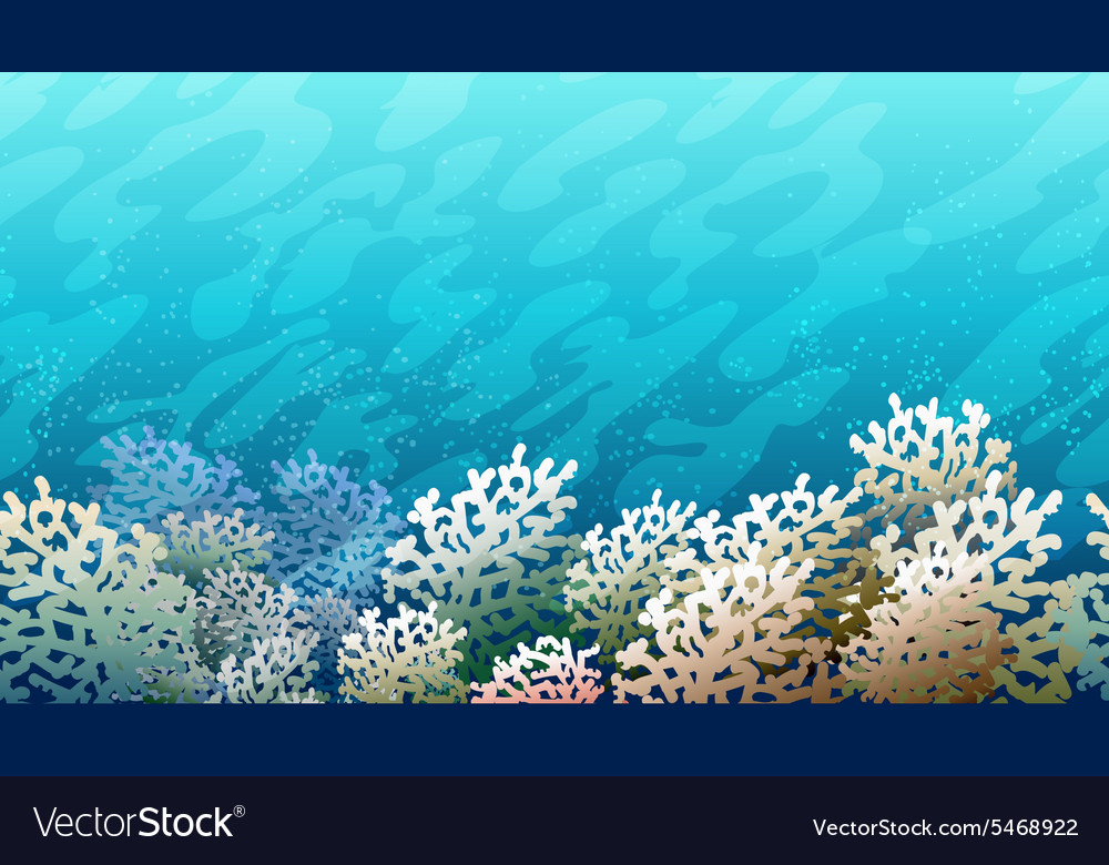Coral reef pattern Royalty Free Vector Image - VectorStock