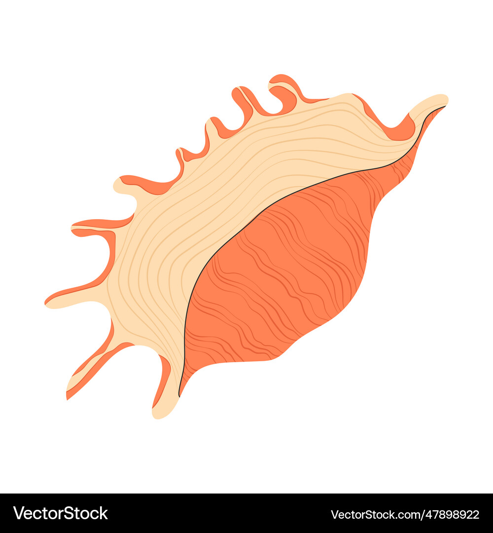 Sea shell marine conch mollusc in seashell Vector Image