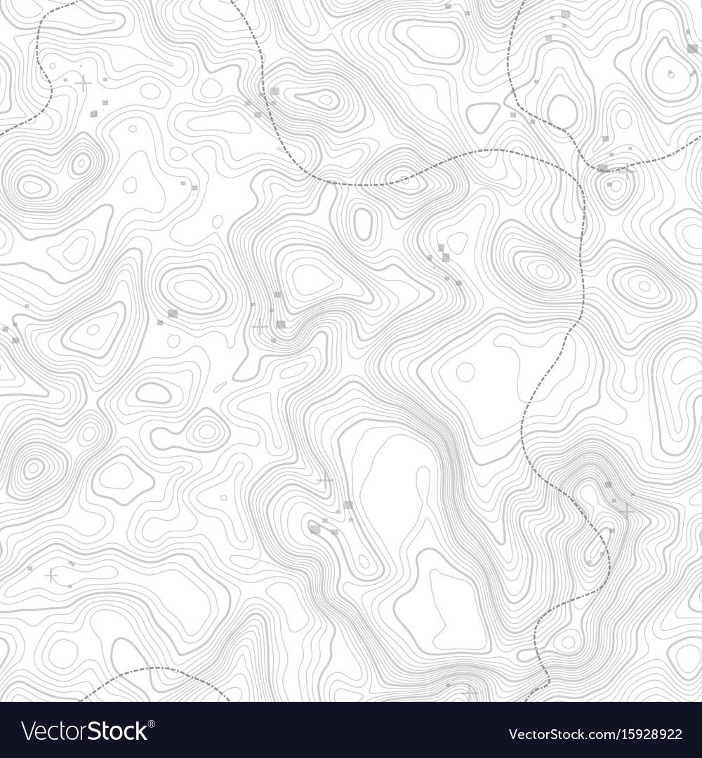 Seamless pattern topographic map background Vector Image