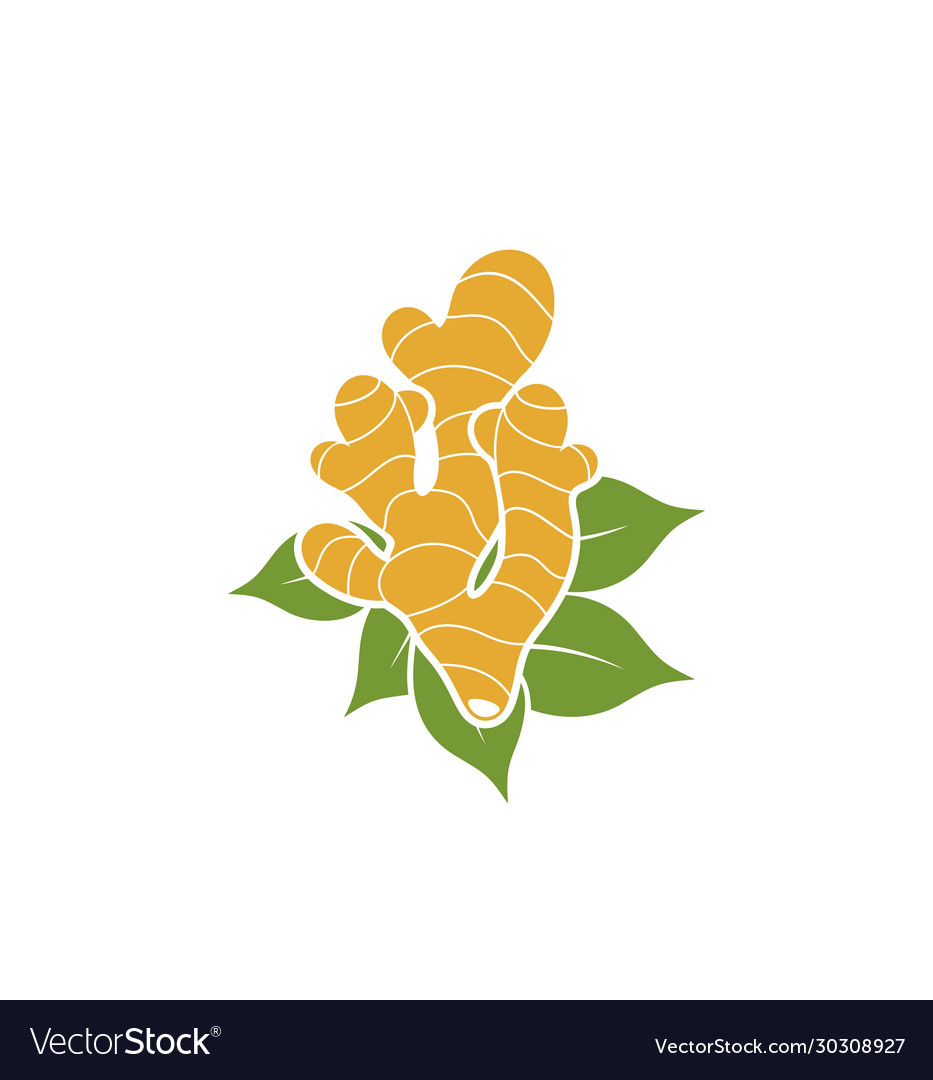 Ginger Royalty Free Vector Image - VectorStock