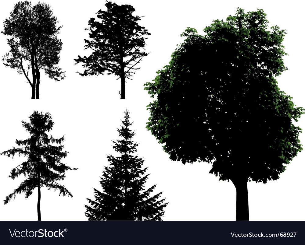 Trees Royalty Free Vector Image - VectorStock