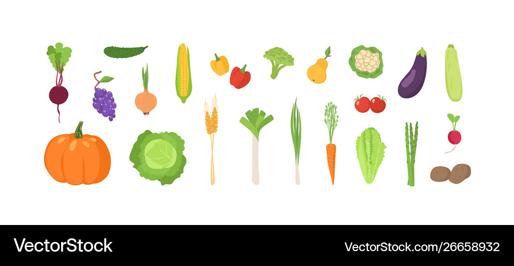 Bundle ripe fresh organic fruits and vegetables Vector Image
