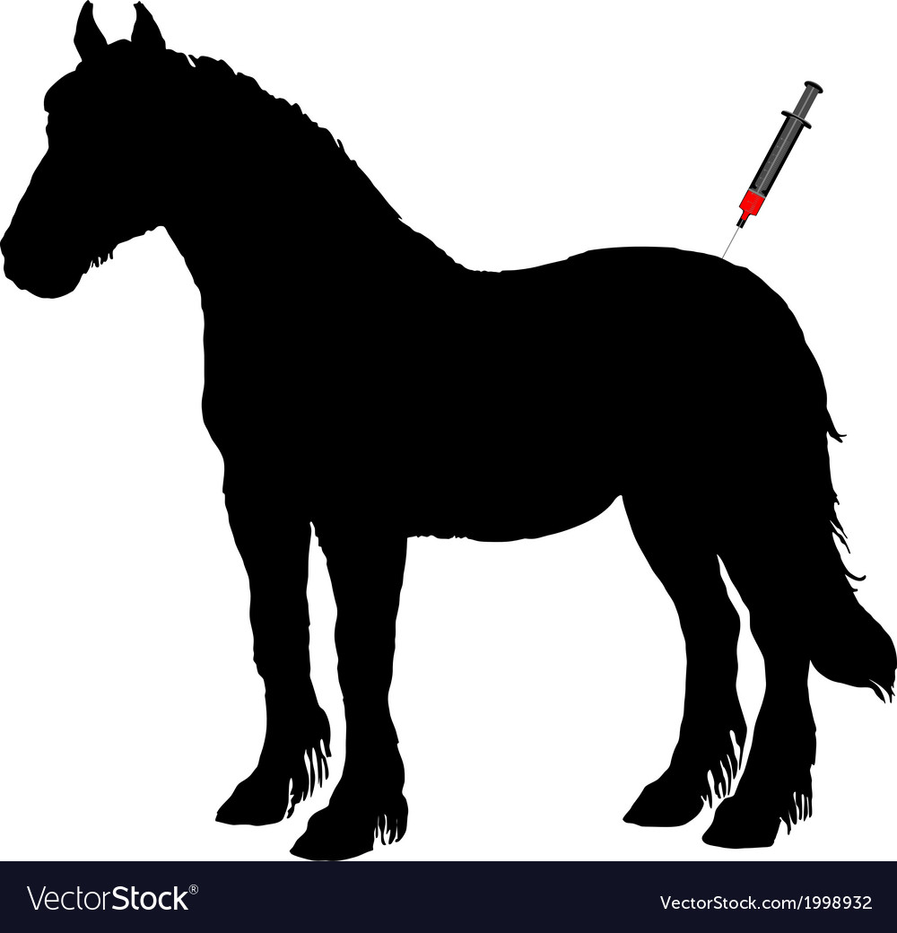 Immunization for horses Royalty Free Vector Image