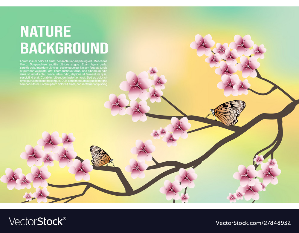 Nature background with tree blossom and two Vector Image