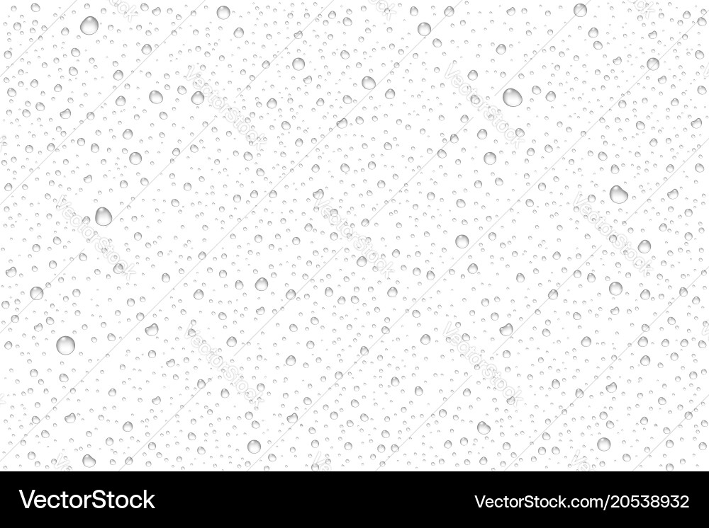 Realistic water drops condensed Royalty Free Vector Image