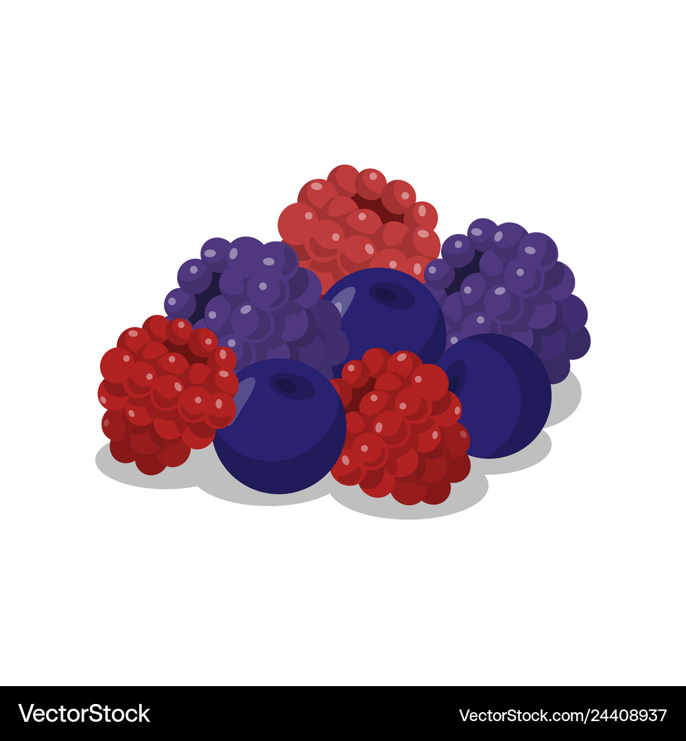 Delicious ripe berries cartoon Royalty Free Vector Image