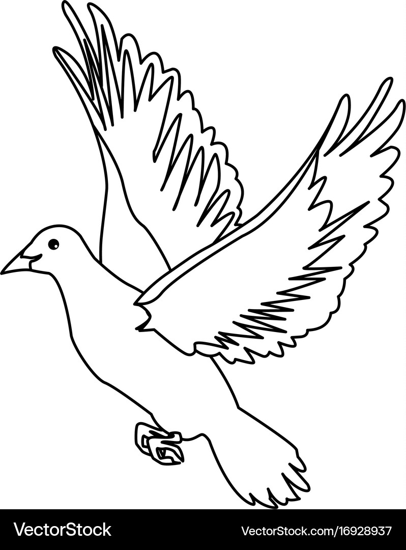 Flying white dove on background as symbol Vector Image