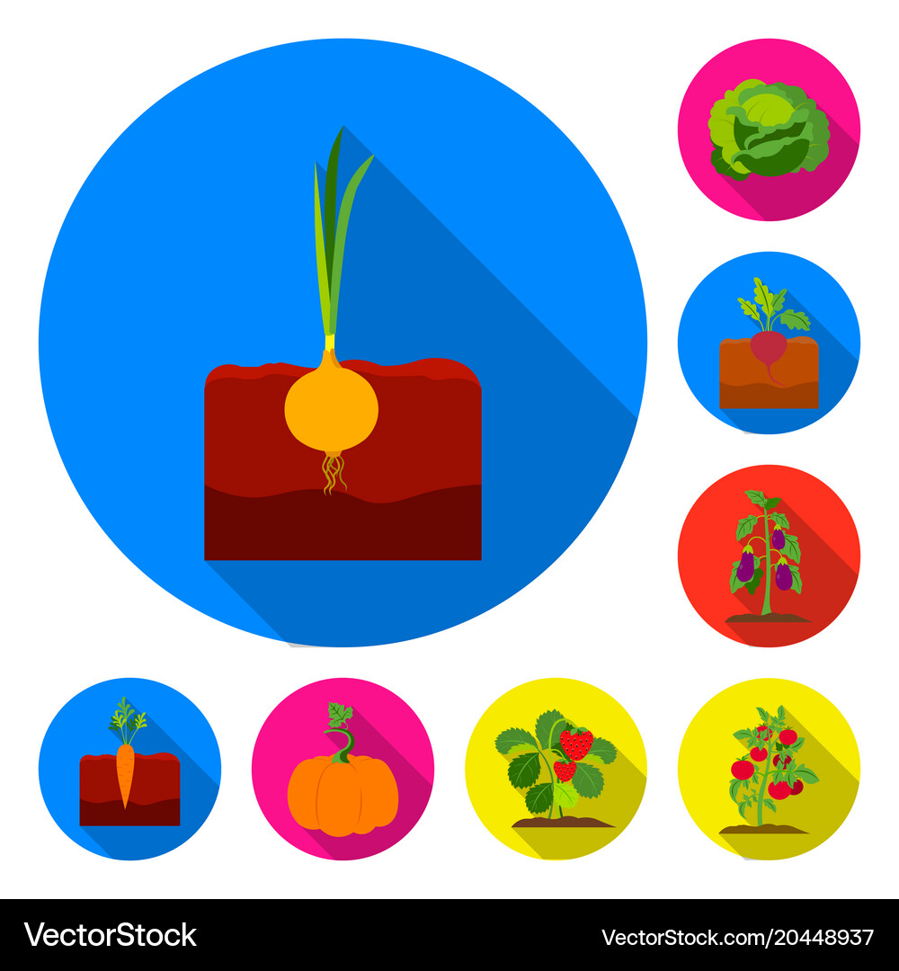 Plant vegetable flat icons in set collection Vector Image