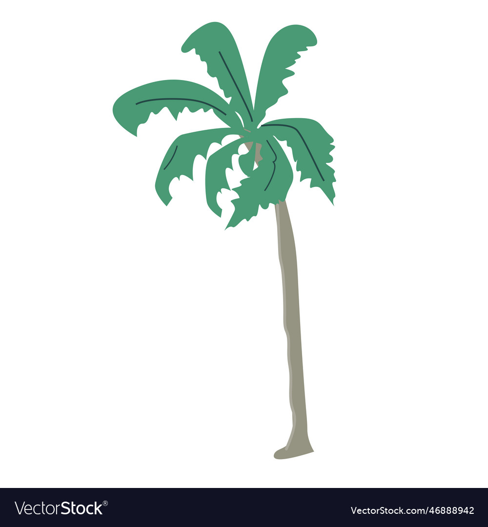 Colorful tropical palm tree on white background Vector Image