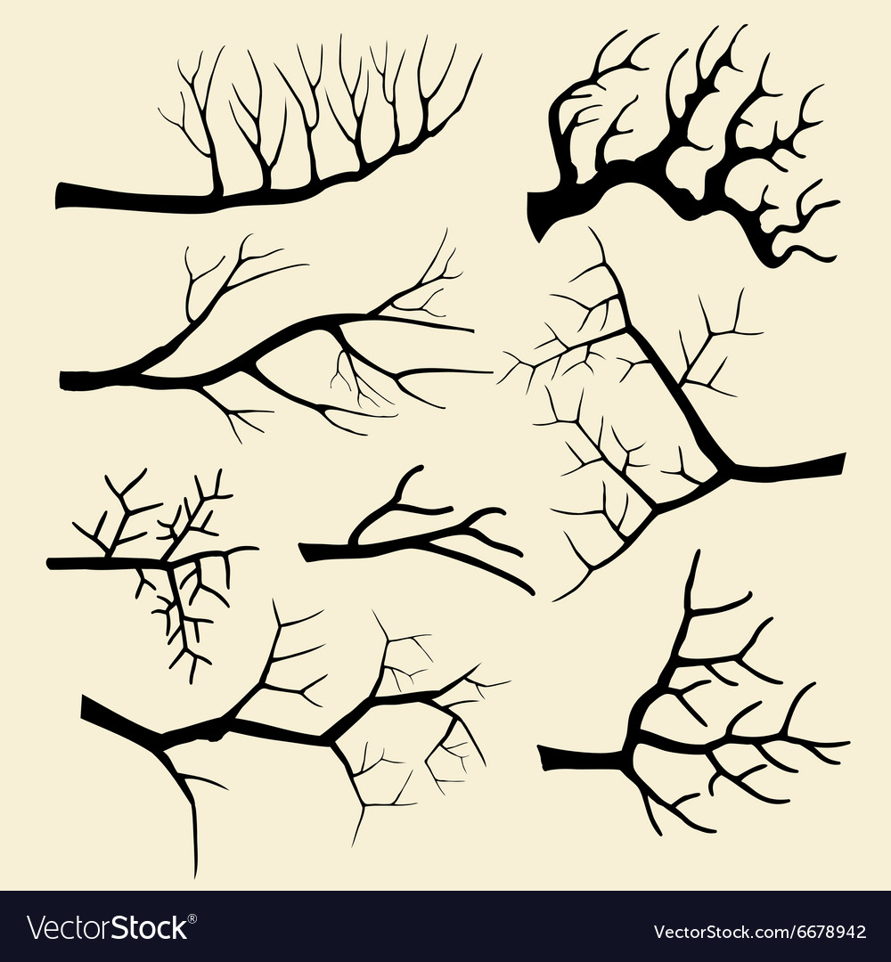 Tree branches set in hand drawn style Royalty Free Vector