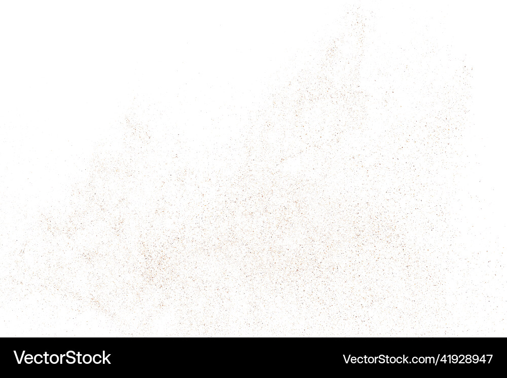 Coffee color grain texture isolated on white Vector Image