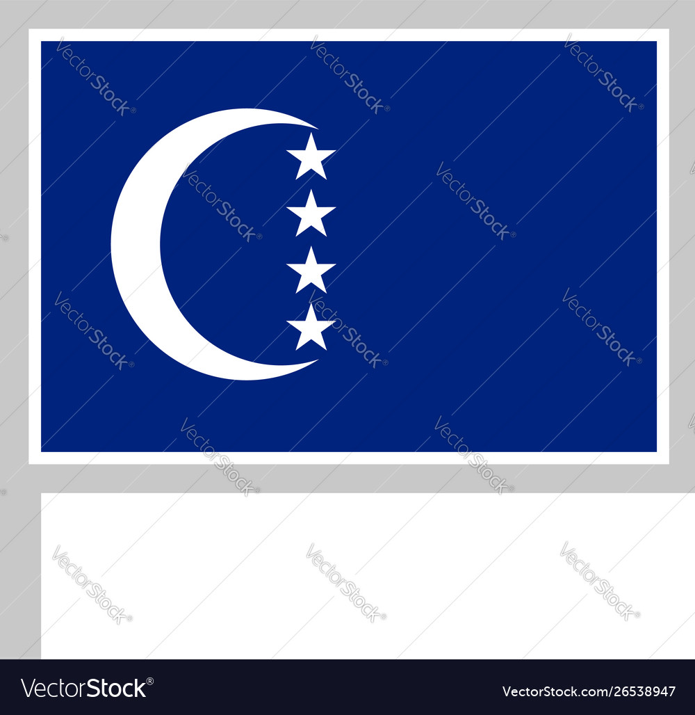 Flag on flagpole rectangular shape icon white Vector Image