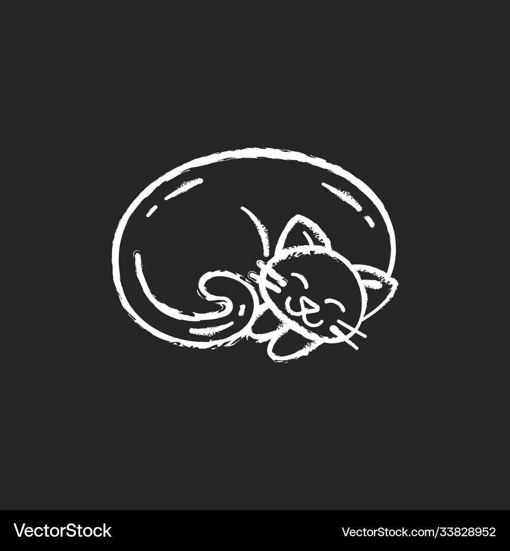 Curled up cat chalk white icon on black background