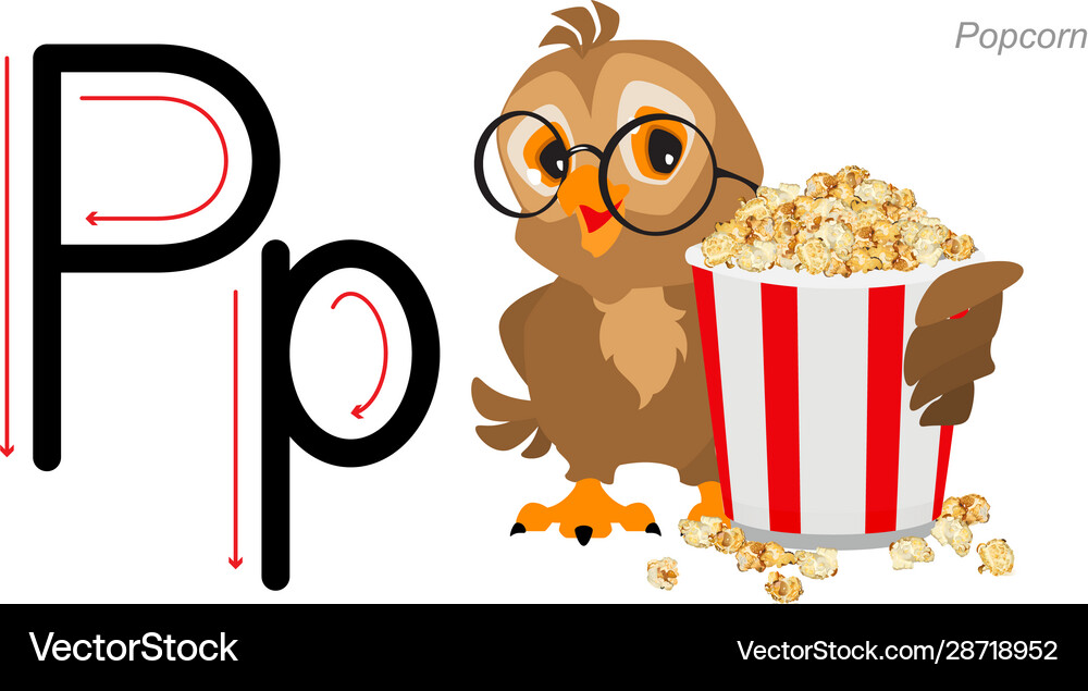 English letter abc alphabet learning owl hold Vector Image