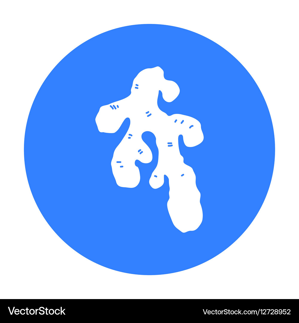 Ginger icon in black style isolated on white Vector Image