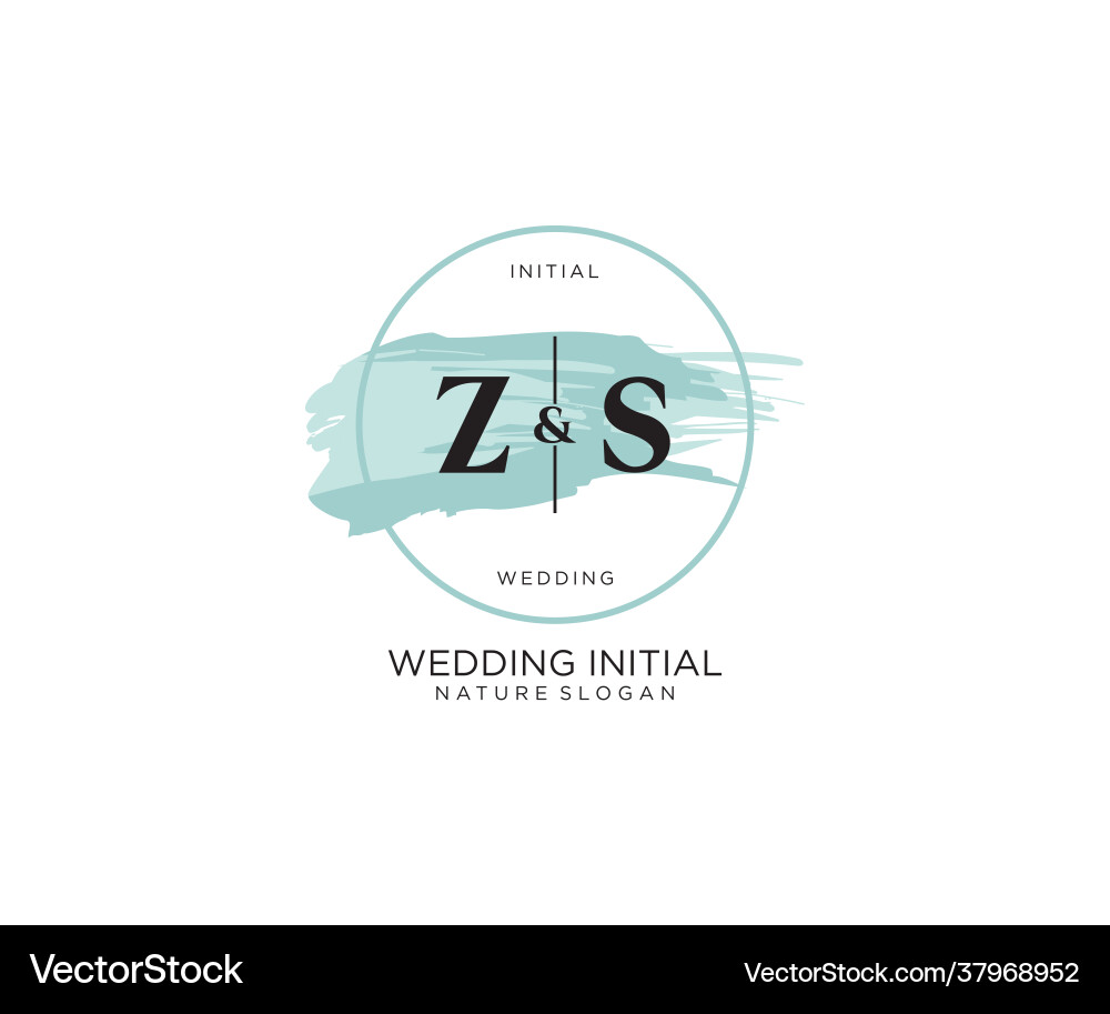 Initial zs letter beauty logo handwriting Vector Image
