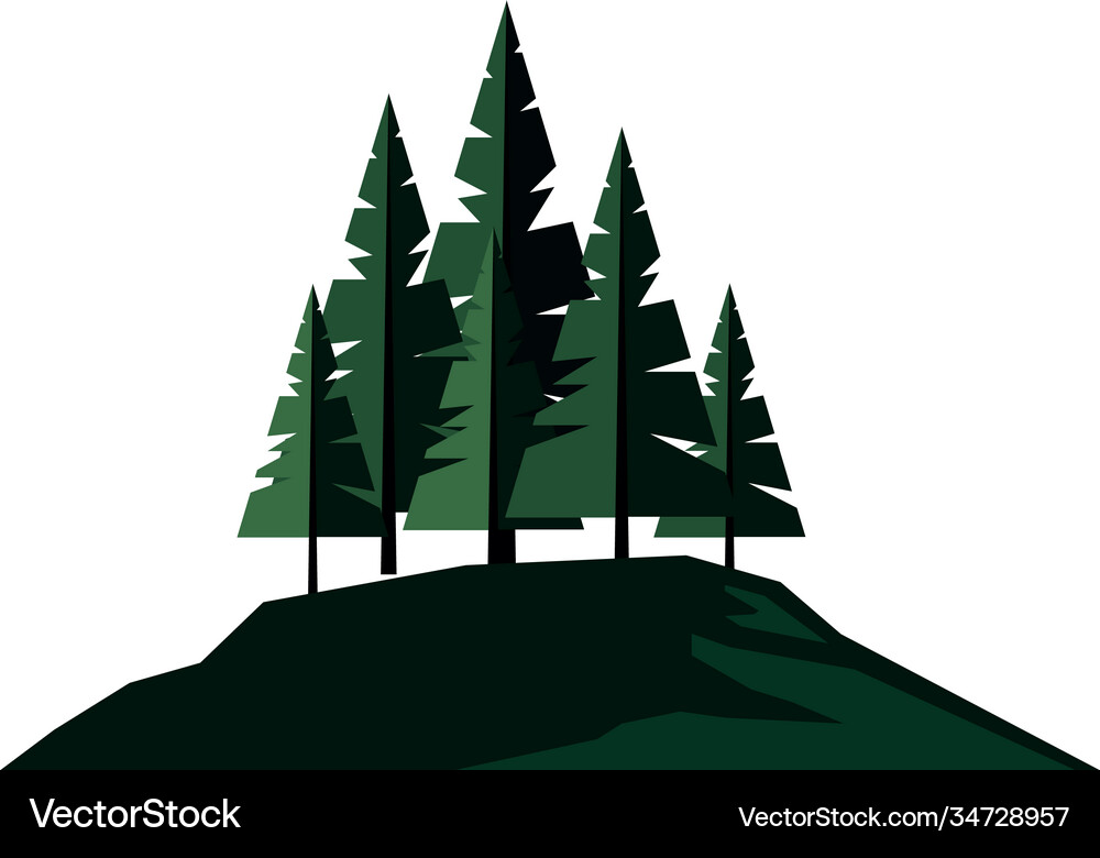 Beautiful landscape scene with coniferus forest Vector Image
