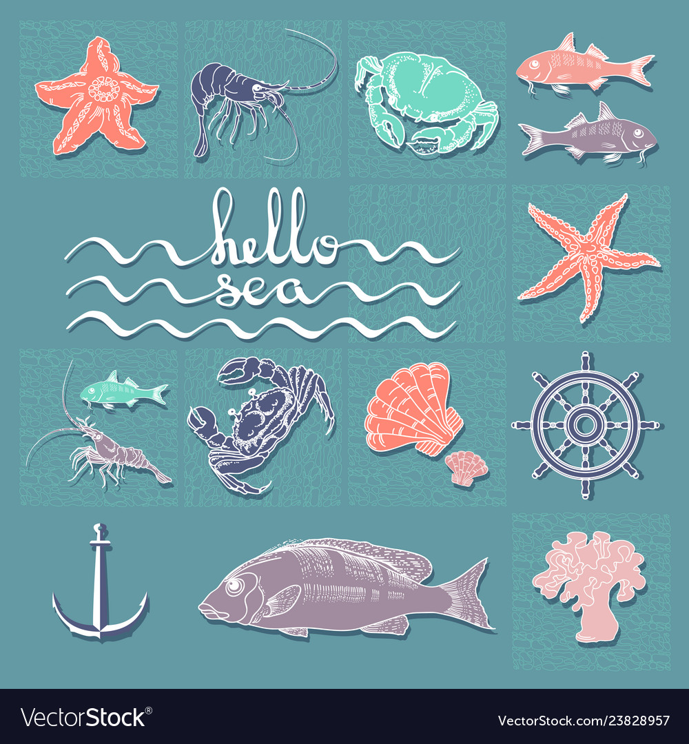 Hello sea card with handwritten text Royalty Free Vector