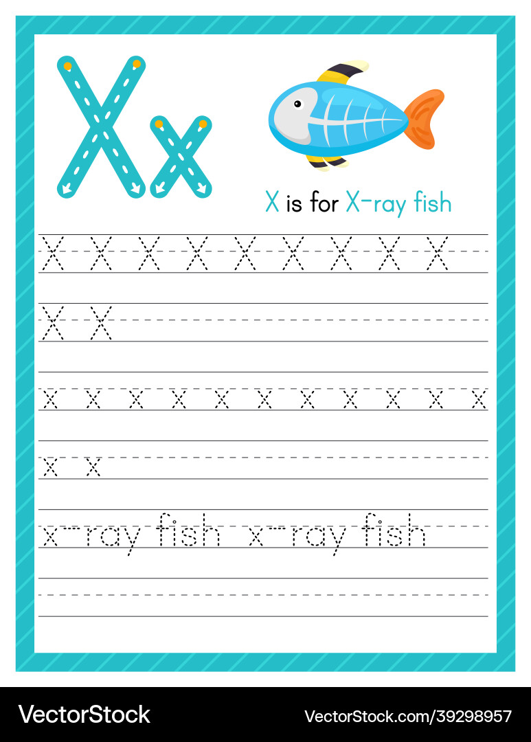 Trace letter x uppercase and lowercase alphabet Vector Image