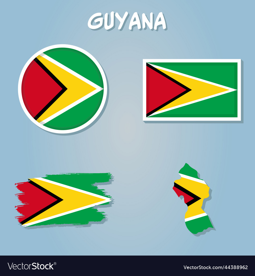 Flag map of guyana isolated simplified Royalty Free Vector