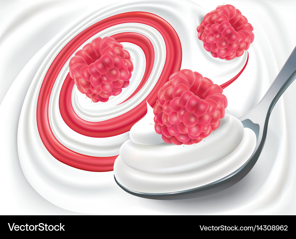 Milk cream yogurt swirl with raspberry on spoon Vector Image