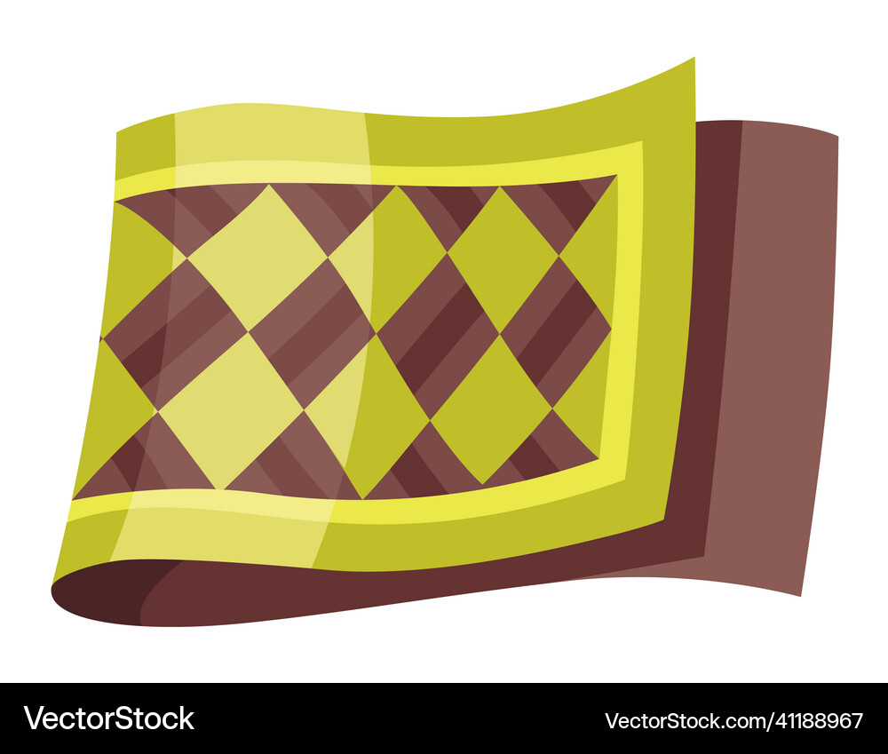 Carpet floor covering mat or rugsfor interior Vector Image