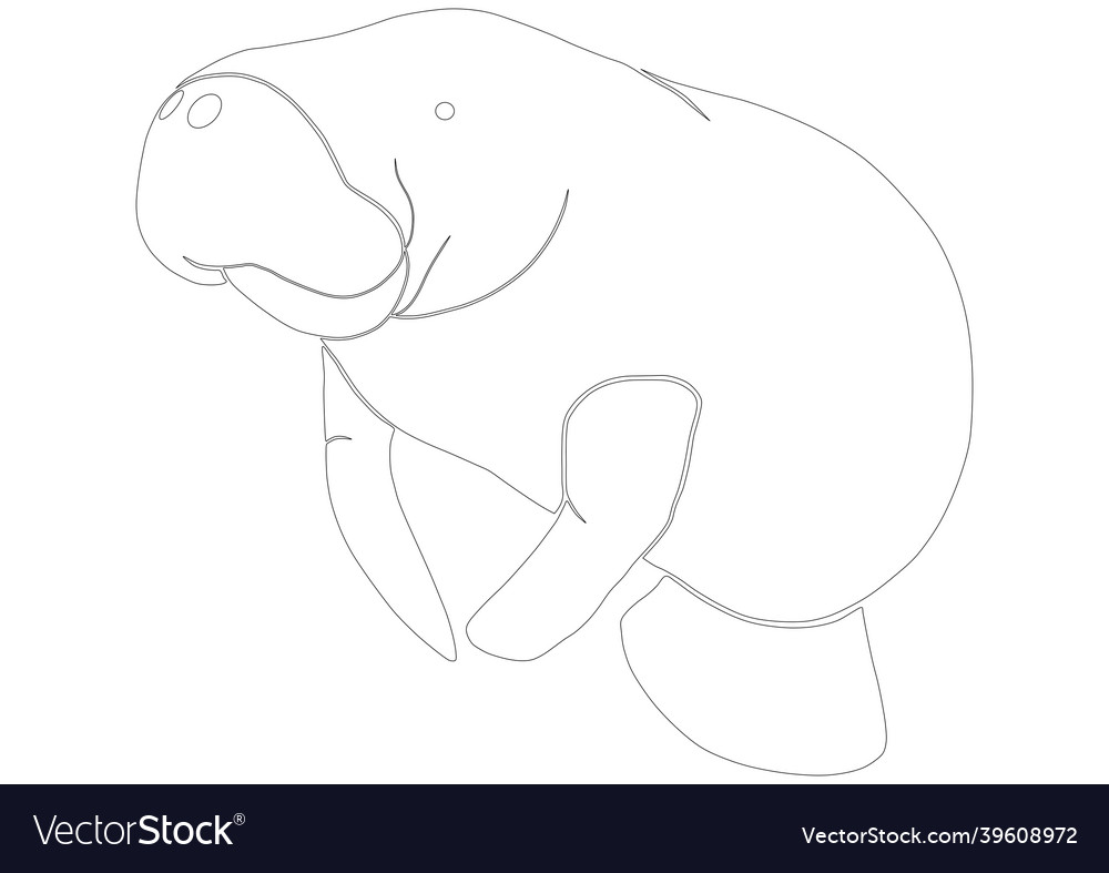 Manatee Royalty Free Vector Image - VectorStock