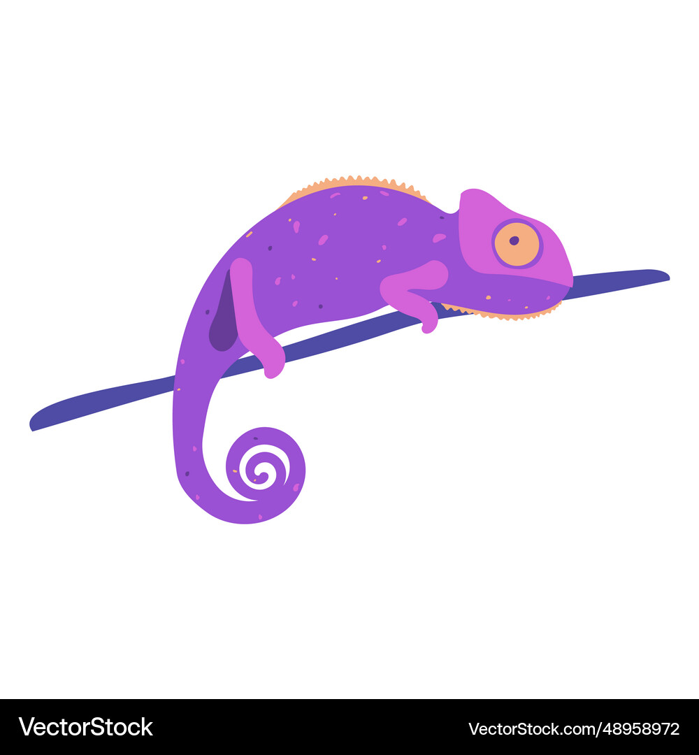 Purple chameleon animal semi flat Royalty Free Vector Image