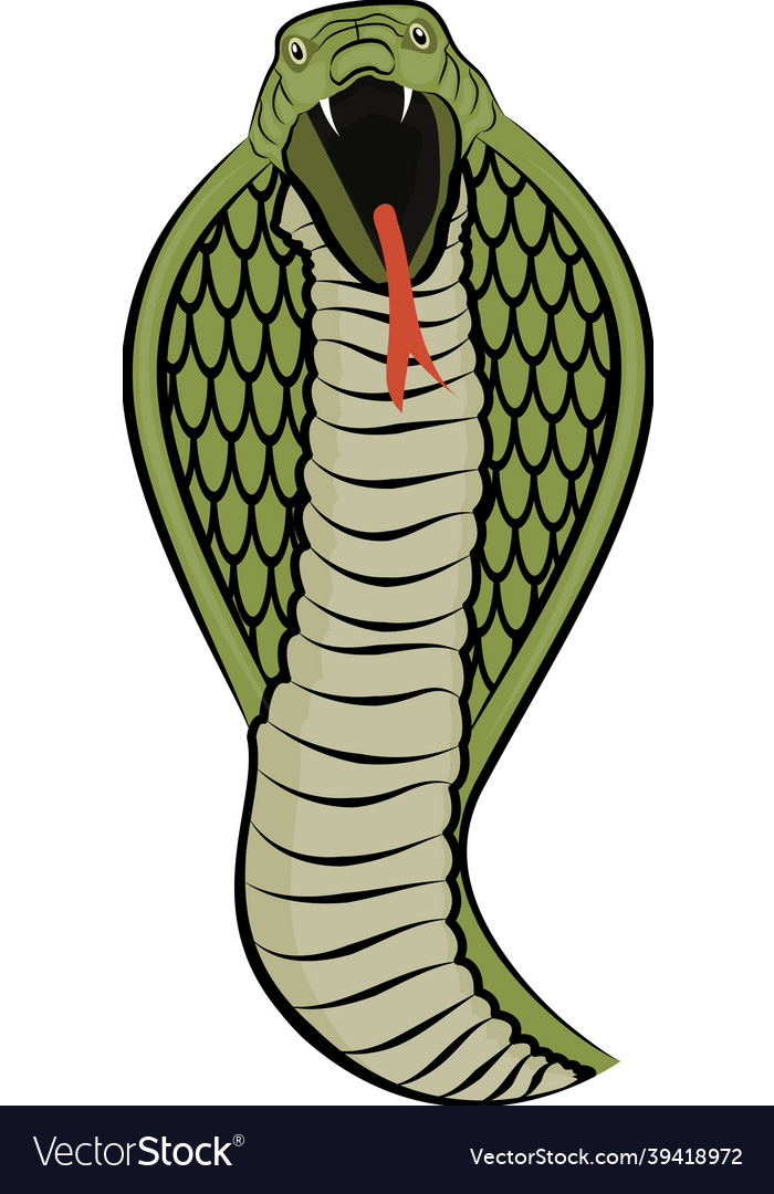 Serpent Royalty Free Vector Image - VectorStock