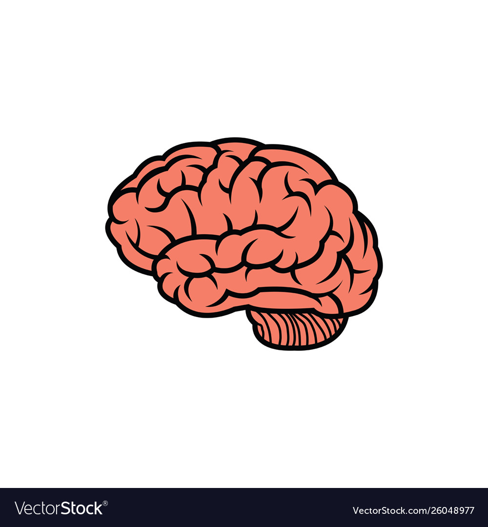 Abstract human brain logo design template Vector Image