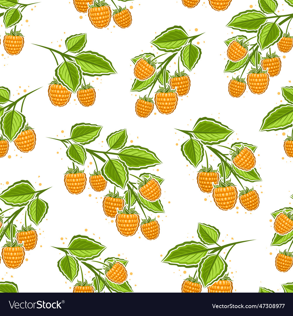 Yellow raspberry branches Royalty Free Vector Image