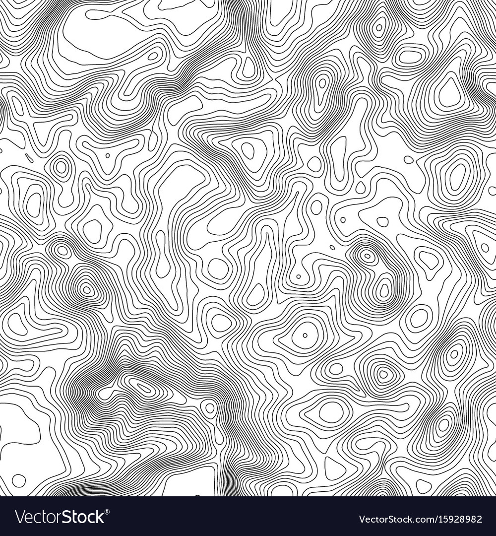 Seamless pattern topographic map background Vector Image