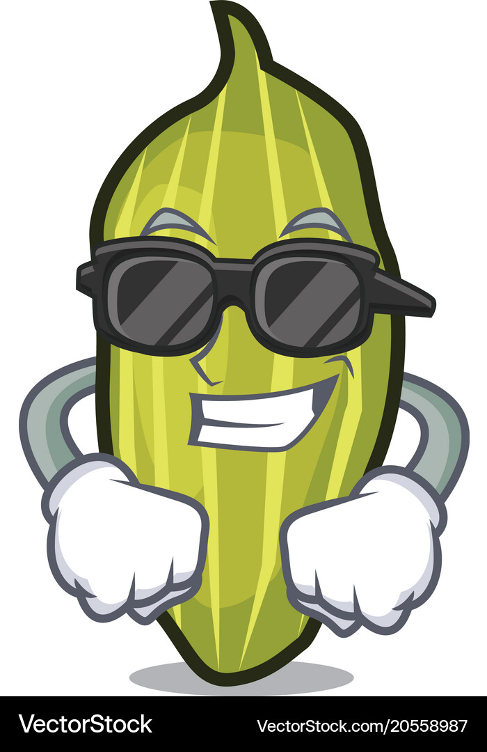 Super cool cardamom character cartoon style Vector Image