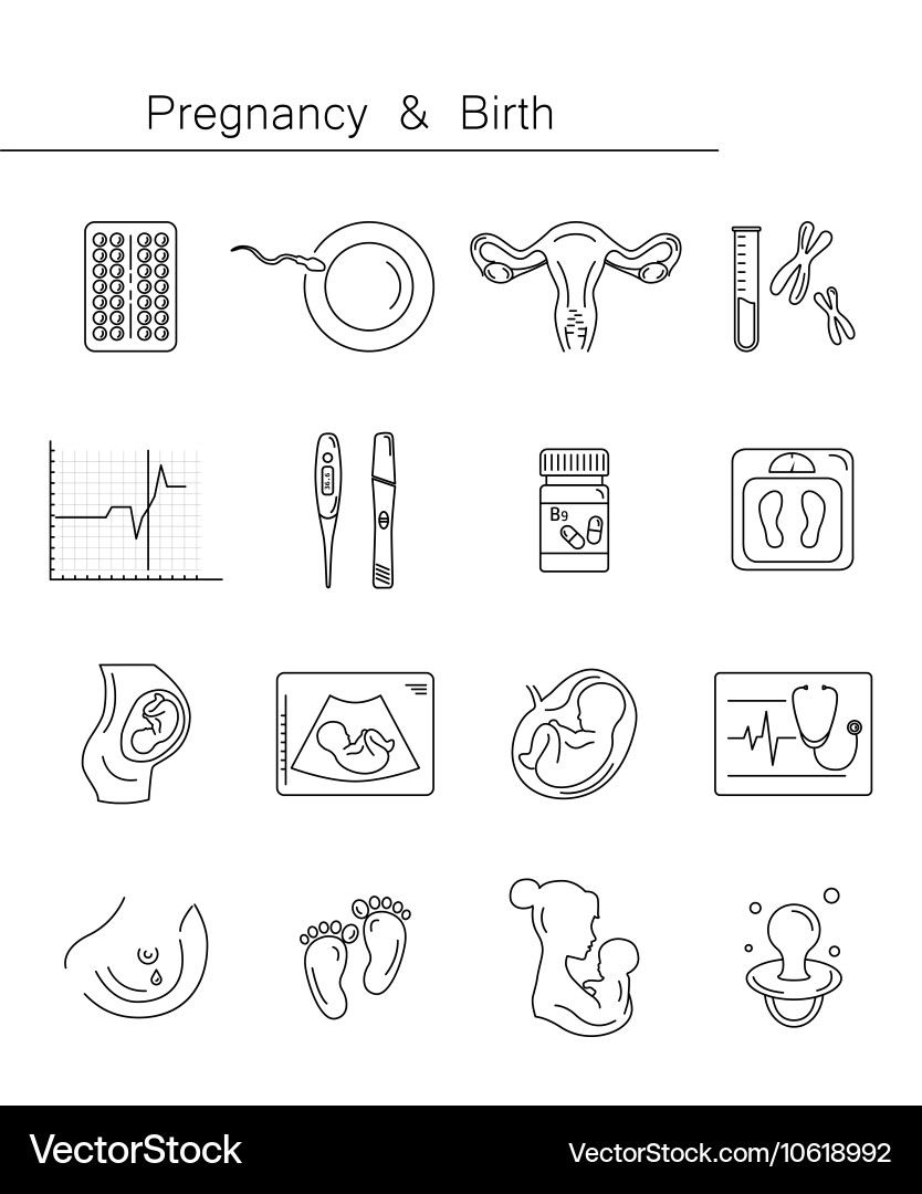Medicine and pregnancy line icon Royalty Free Vector Image