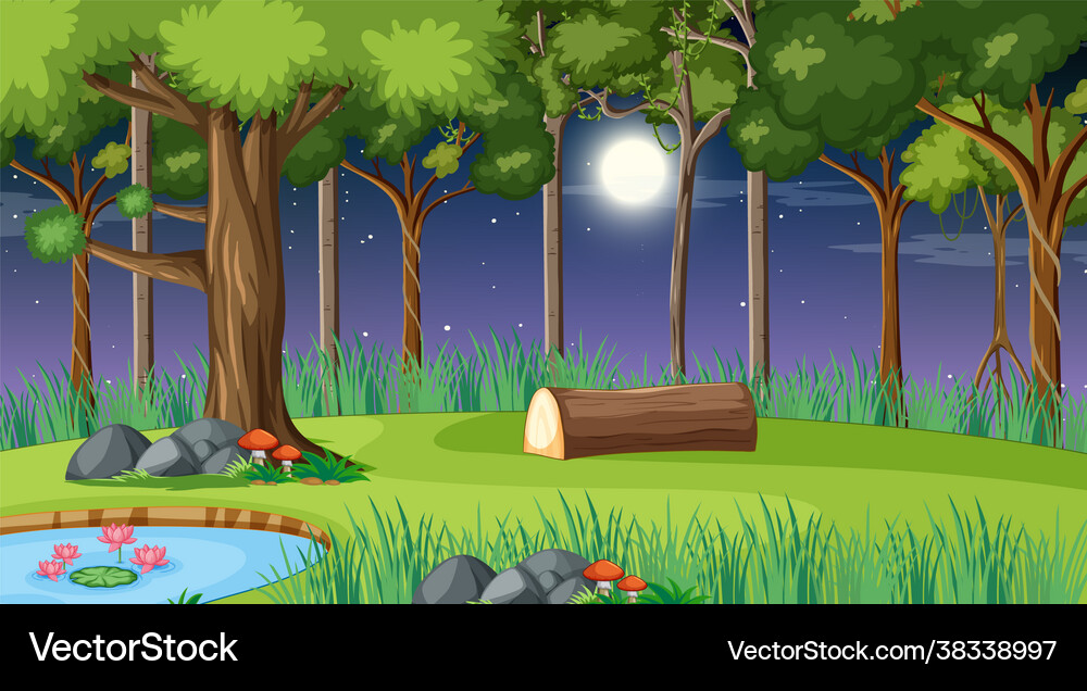 Forest landscape scene at night with many Vector Image