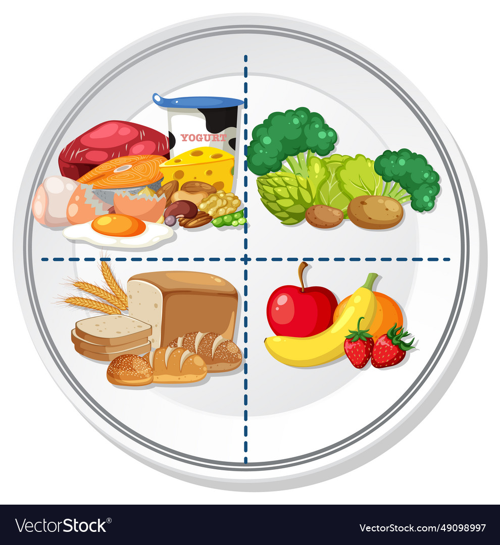 Healthy eating plate with balanced portions Vector Image