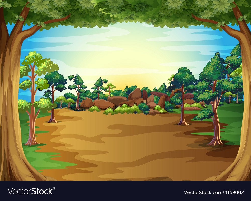 Forest Royalty Free Vector Image - VectorStock