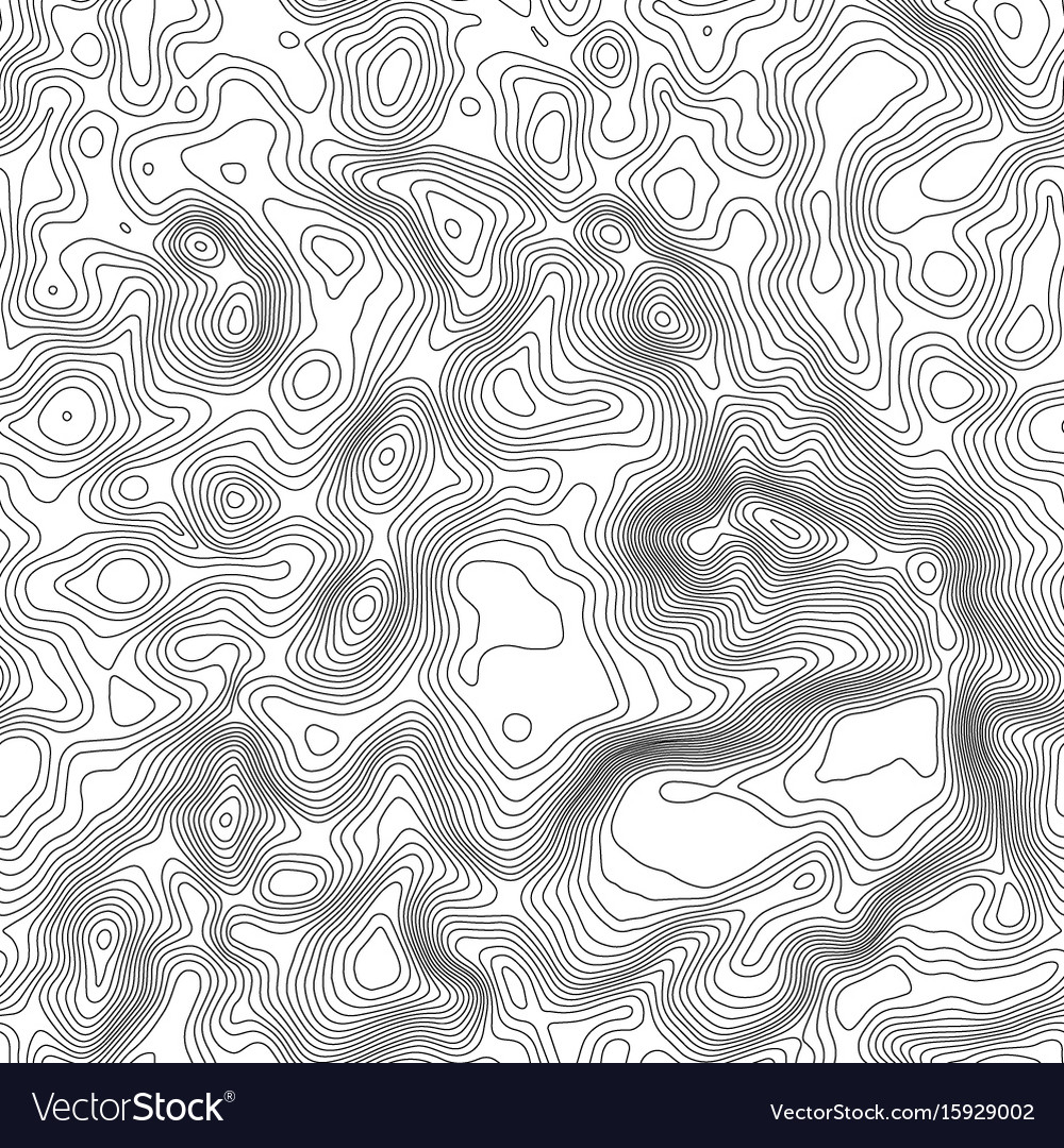 Seamless pattern topographic map background Vector Image