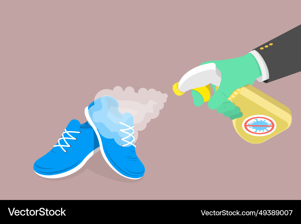 3d isometric flat of shoes Royalty Free Vector Image