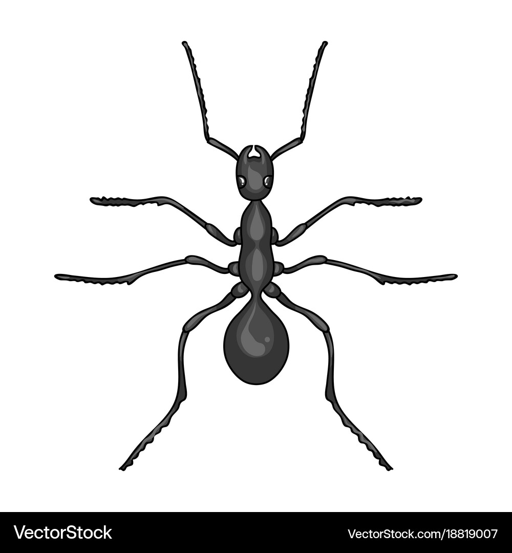 Insect ant single icon in monochrome style Vector Image