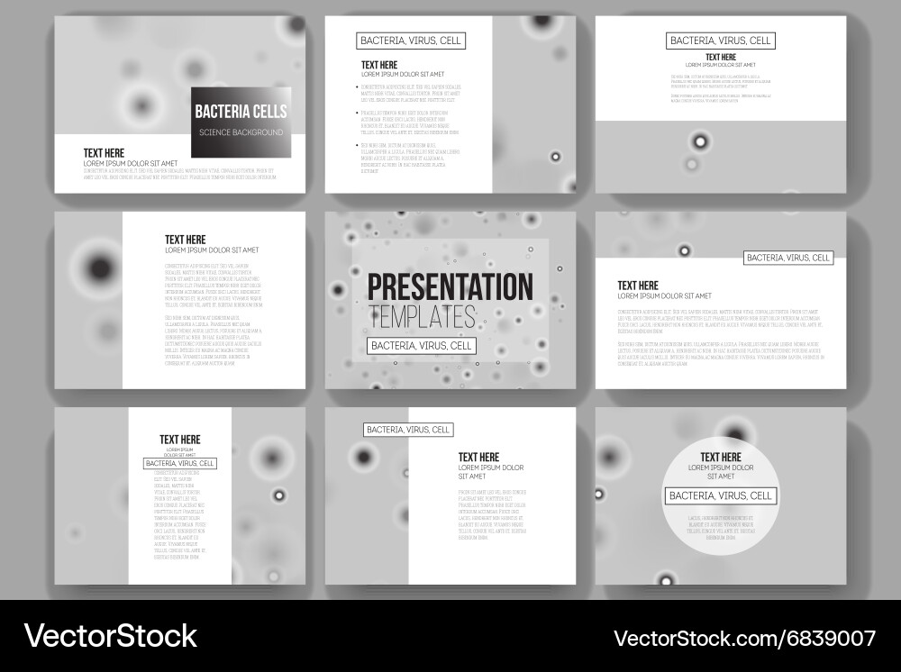 Set of 9 templates for presentation slides Vector Image